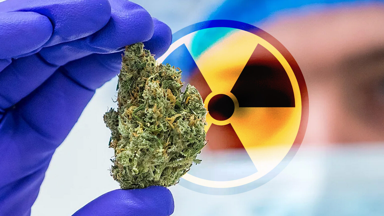 Irradiated vs Non-Irradiated Cannabis | Full Guide for Craft Consumers